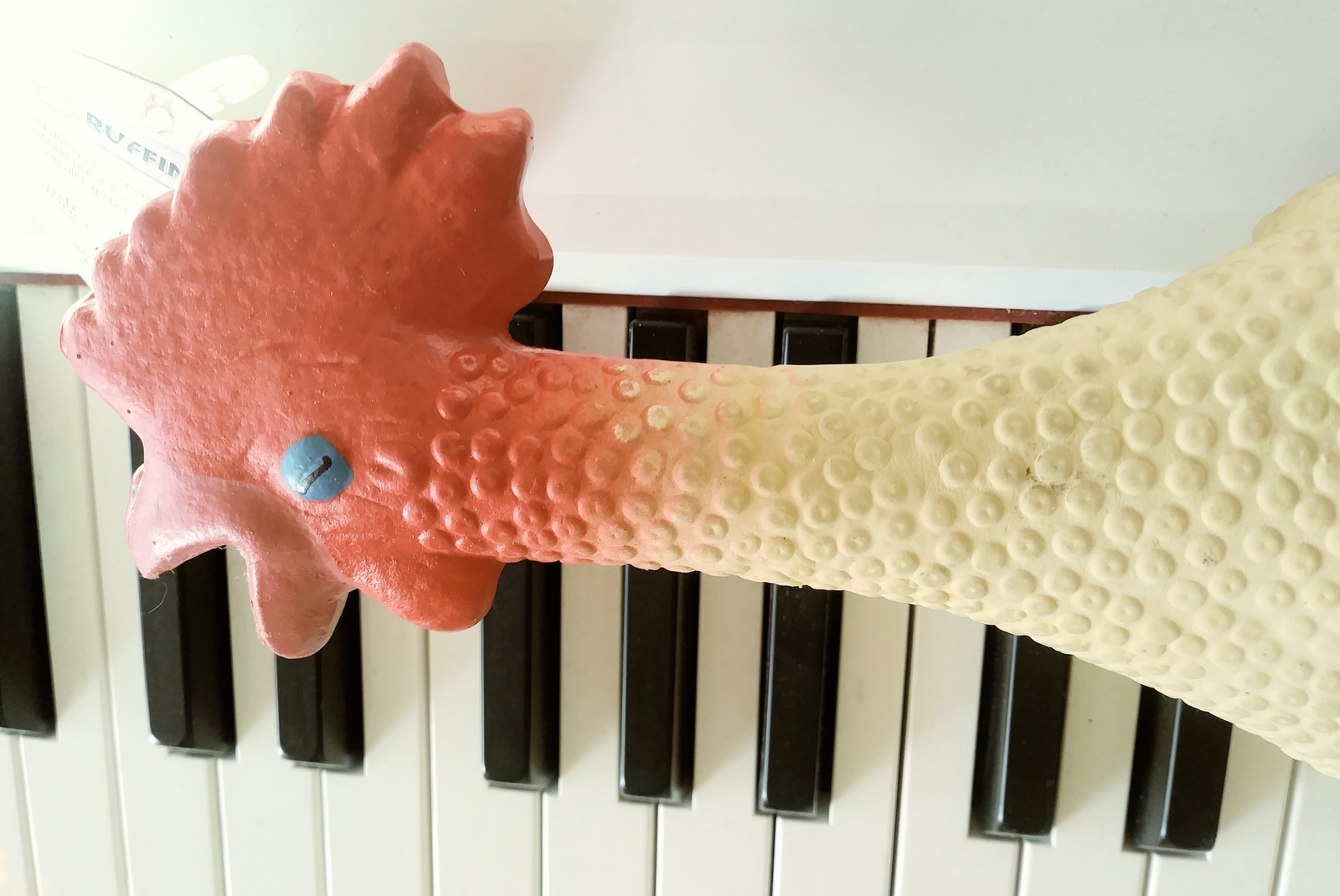 Want a Rooster Like Patt’s? – Possum's Big Fiddle Show @BigFiddleShow